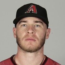 Chris Herrmann Fantasy Baseball Rankings - 2017